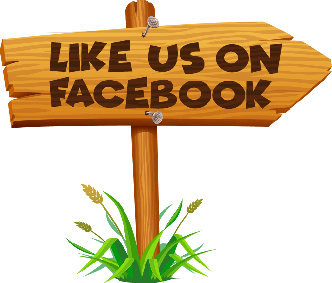 Bounce 'N Round Inflatables